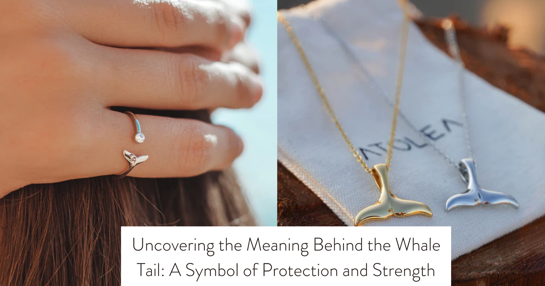 Uncovering the Meaning Behind the Whale Tail: A Symbol of Protection a