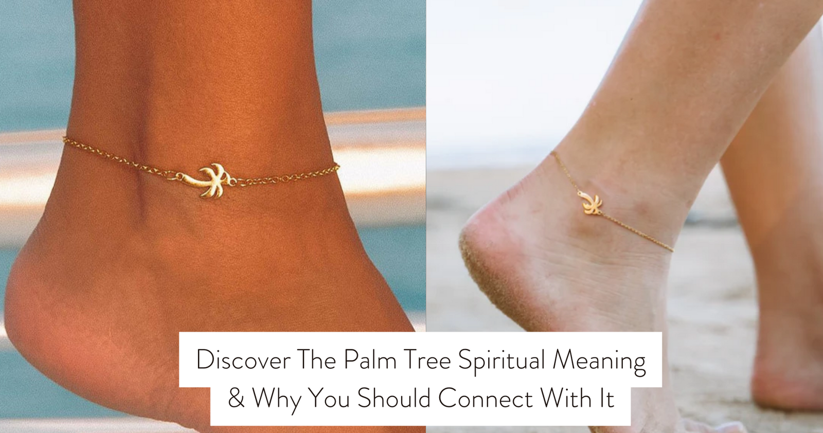 Discover The Palm Tree Spiritual Meaning & Why You Should Connect With