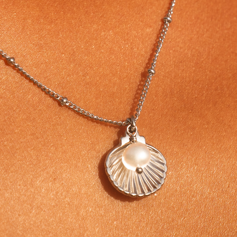Seashell Necklace